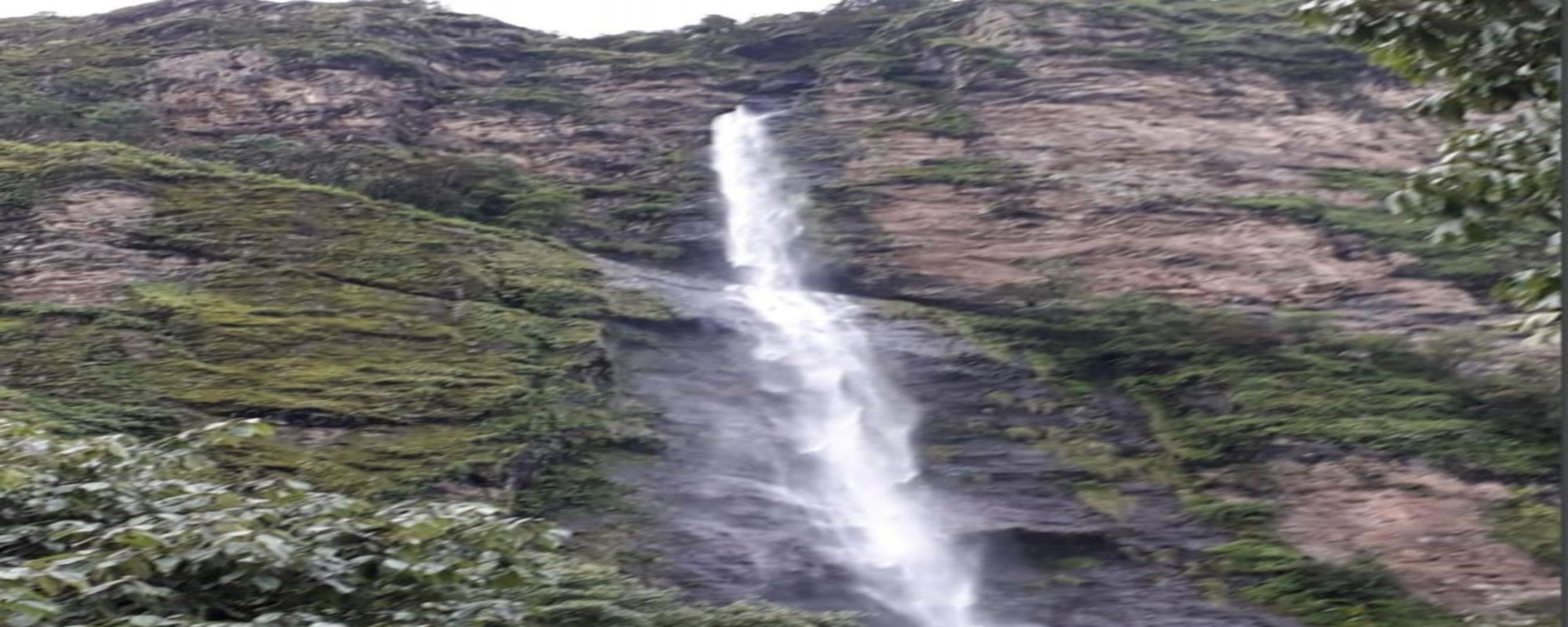 किस्पाङ गाउँपालिका | "सुसंस्कृत समतामुलक समृद्ध किस्पाङ"